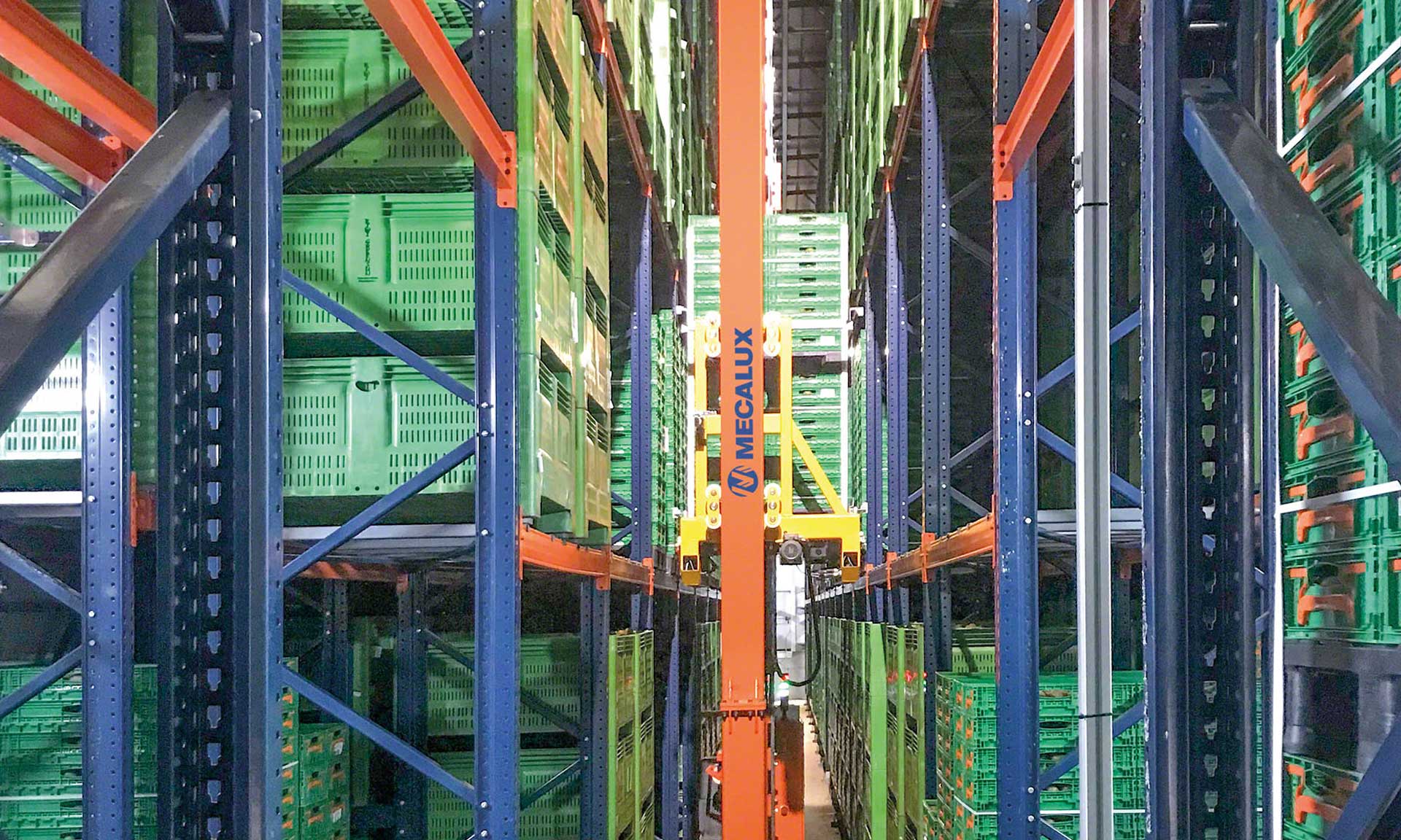 Kiwi Greensun: automated cold storage warehouse - Mecalux.co.ke